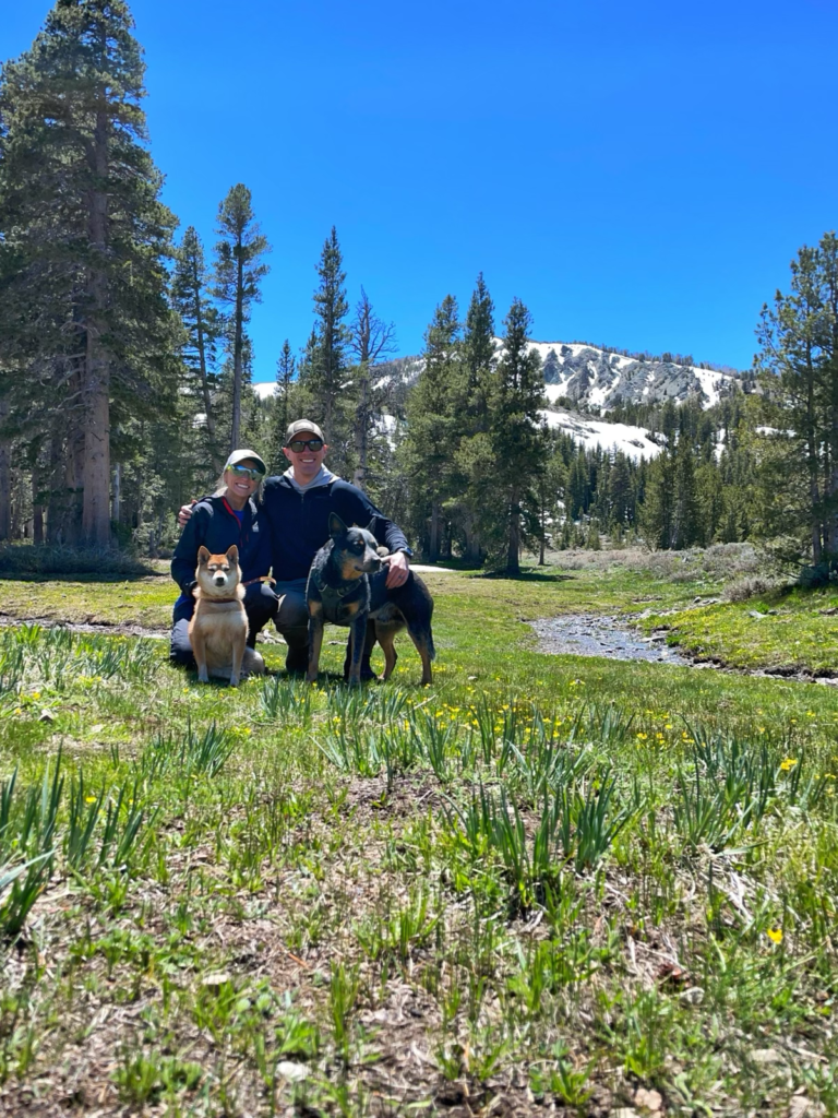 Alpine Climbing Adventure Fitness | Gym | Yoga Class | Ripon